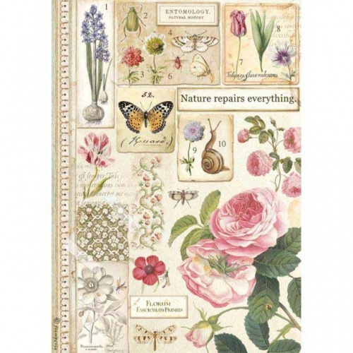 Stamperia A4 Rice Paper - Botanic - DFSA4623 | Thats Crafty