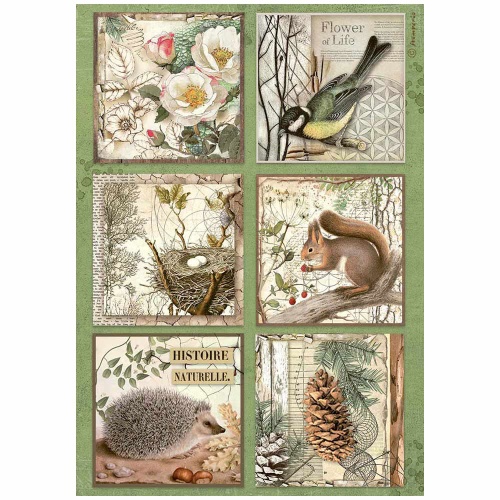 Stamperia A4 Rice Paper - Forest - 6 Cards - DFSA4952 | Thats Crafty