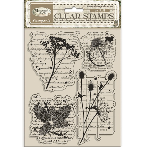 Stamperia Acrylic Stamp Set - Herbarium Silvae - Botanic - WTK231 ...